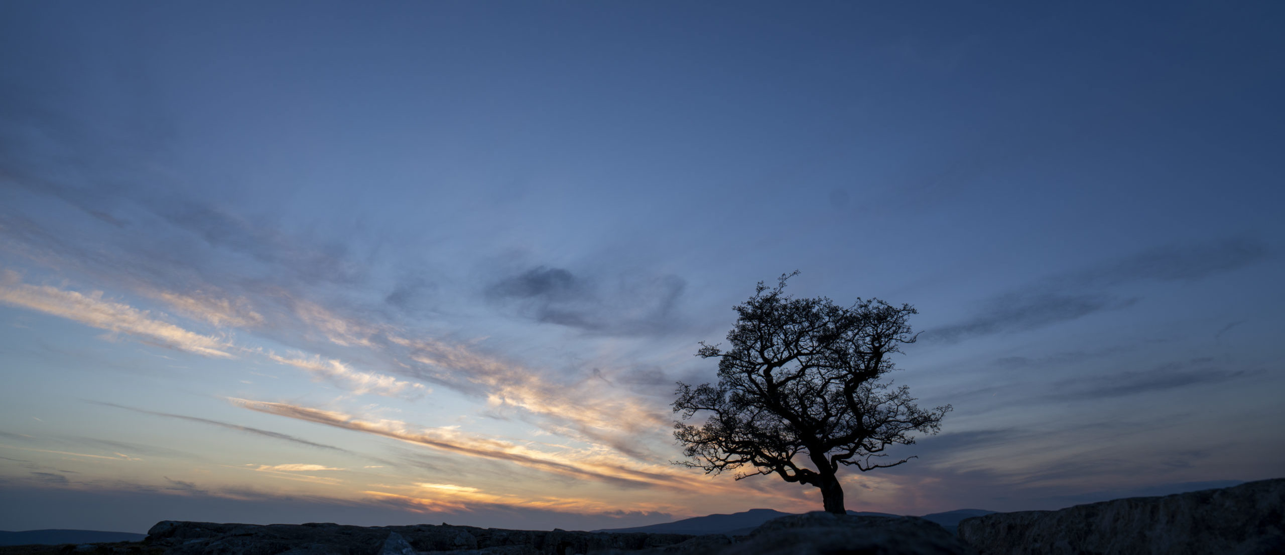 Settle Events Feb 2023 - Settle